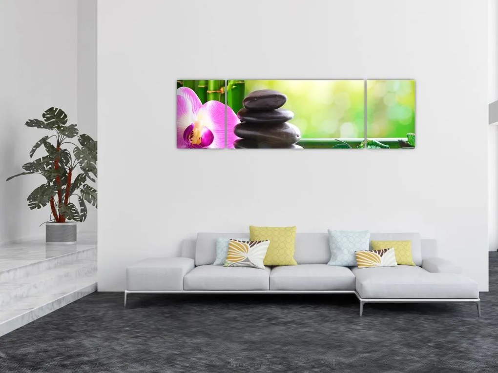 Obraz masážních kamenů a orchidee na vodě (170x50 cm)