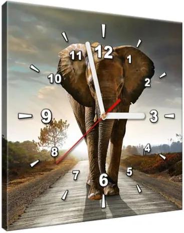 Tištěný obraz s hodinami Osamělý silný slon 30x30cm ZP2479A_1AI