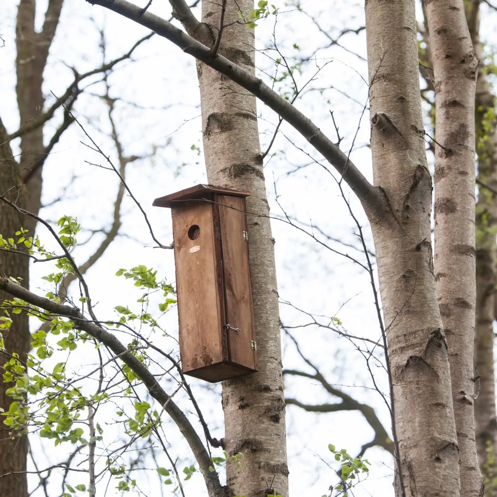 Budka pro datle Smart, 53,5x18x22 cm, dřevo, hnědá