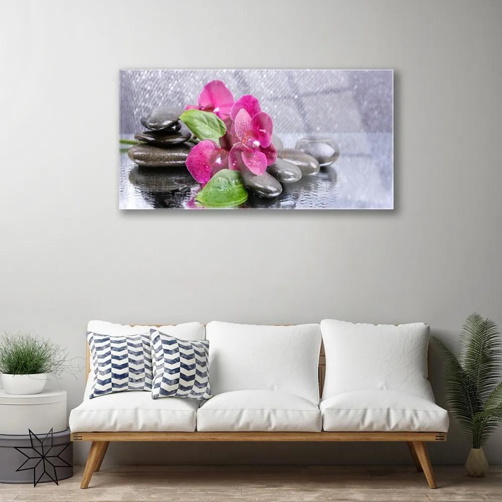 akrylový obraz Květ Kameny Umění 100x50 cm