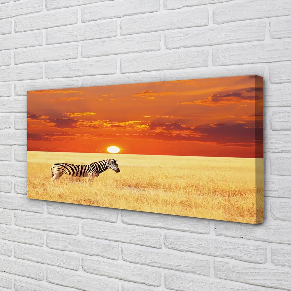 Obrazy na plátně Zebra pole sunset 120x60 cm