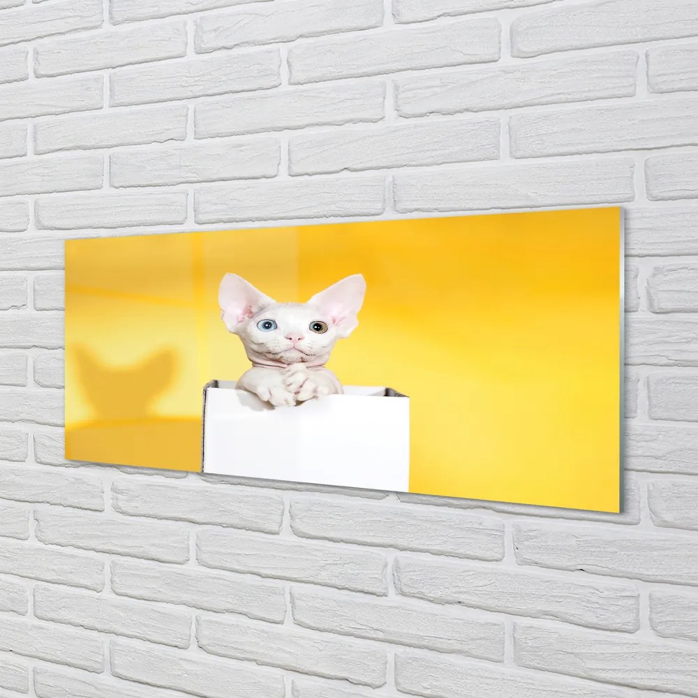 akrylový obraz sedící kočka 120x60 cm