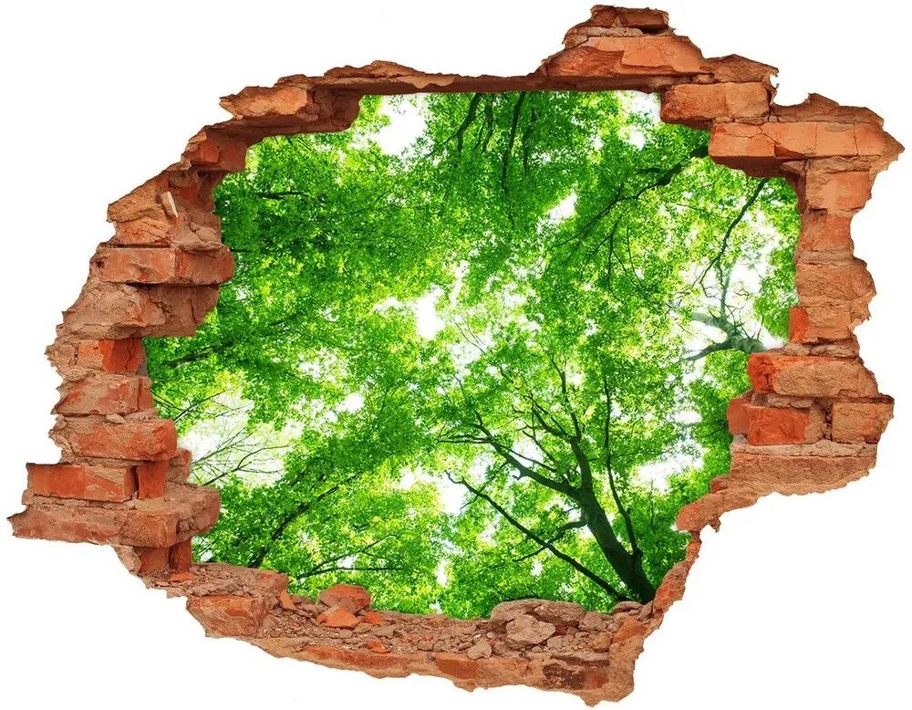 Wallmuralia Samolepící nálepka fototapeta Zelený les 90x70 cm