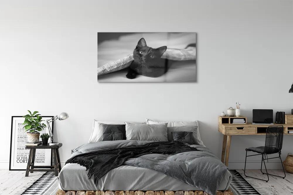 akrylový obraz Kočka pod přikrývkou 125x50 cm