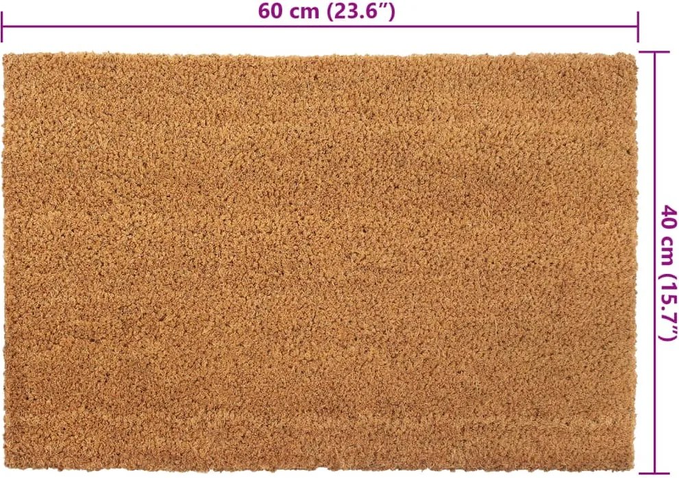 Rohožky před dveře 5 ks přírodní 40 x 60 cm kokosové vlákno 155559