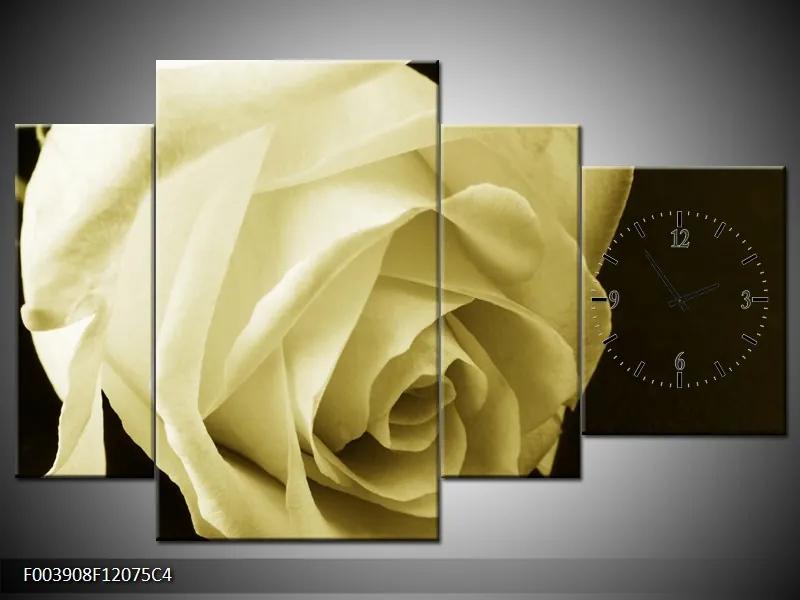 Obraz světle žluté růže  (120x75 cm), 40 dalších rozměrů