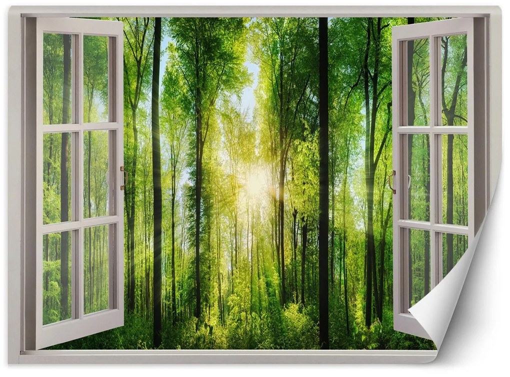 Gario Fototapeta Okno - sluneční paprsky v lese Materiál: Vliesová, Rozměry: 140 x 100 cm