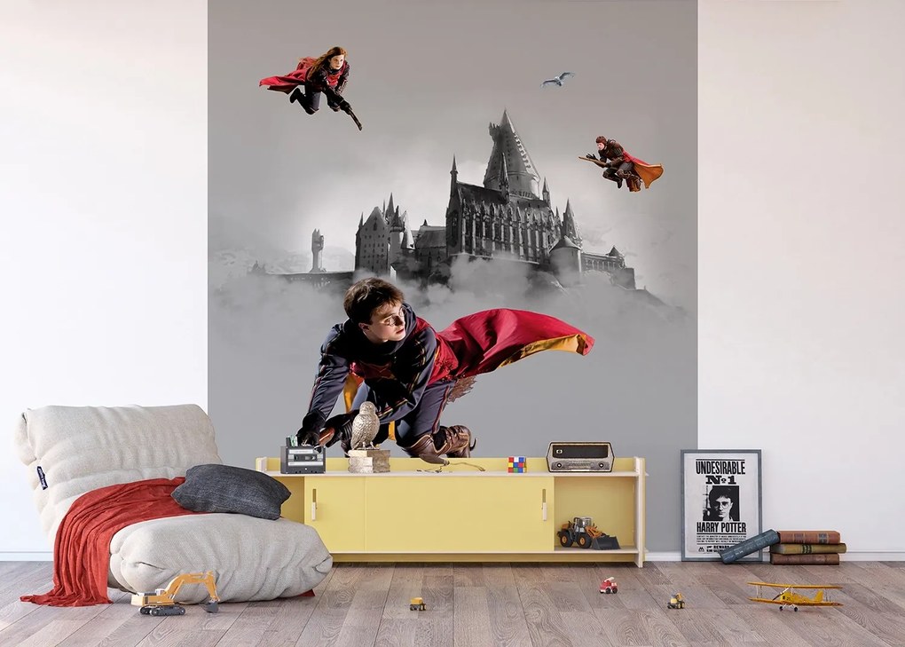 Dětská vliesová fototapeta na zed' Harry Potter | 225 x 270 cm | DFTD3P5167
