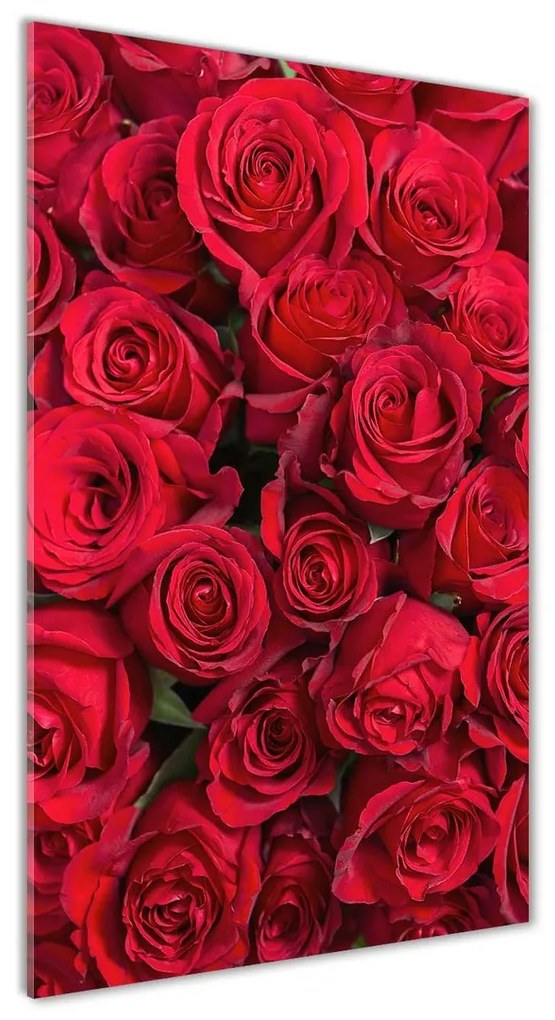 Foto-obraz canvas do obýváku Červené růže