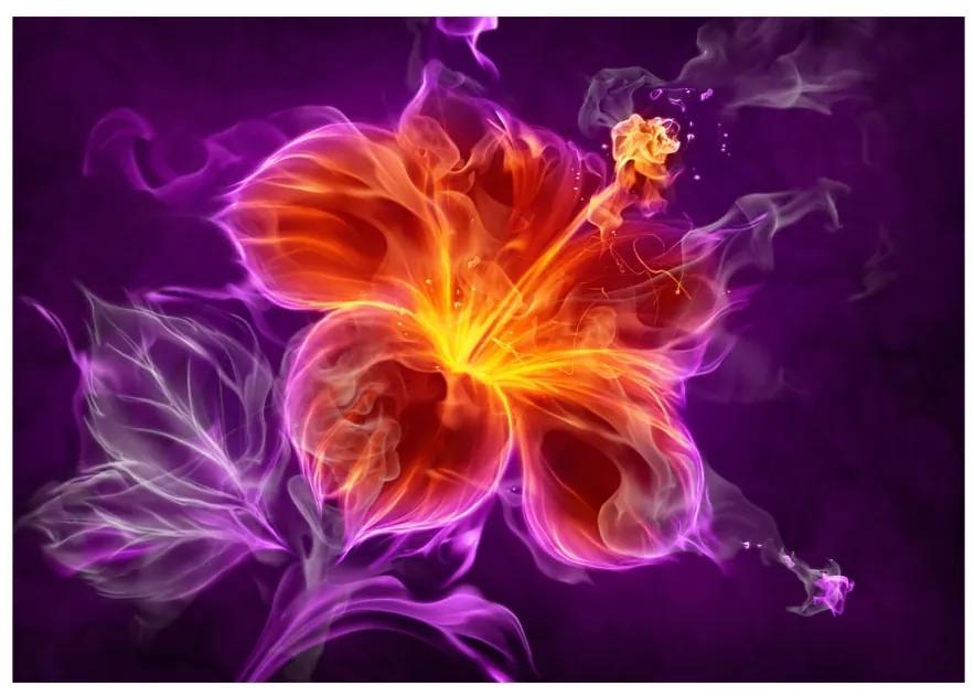Fototapeta - Fiery flower in purple