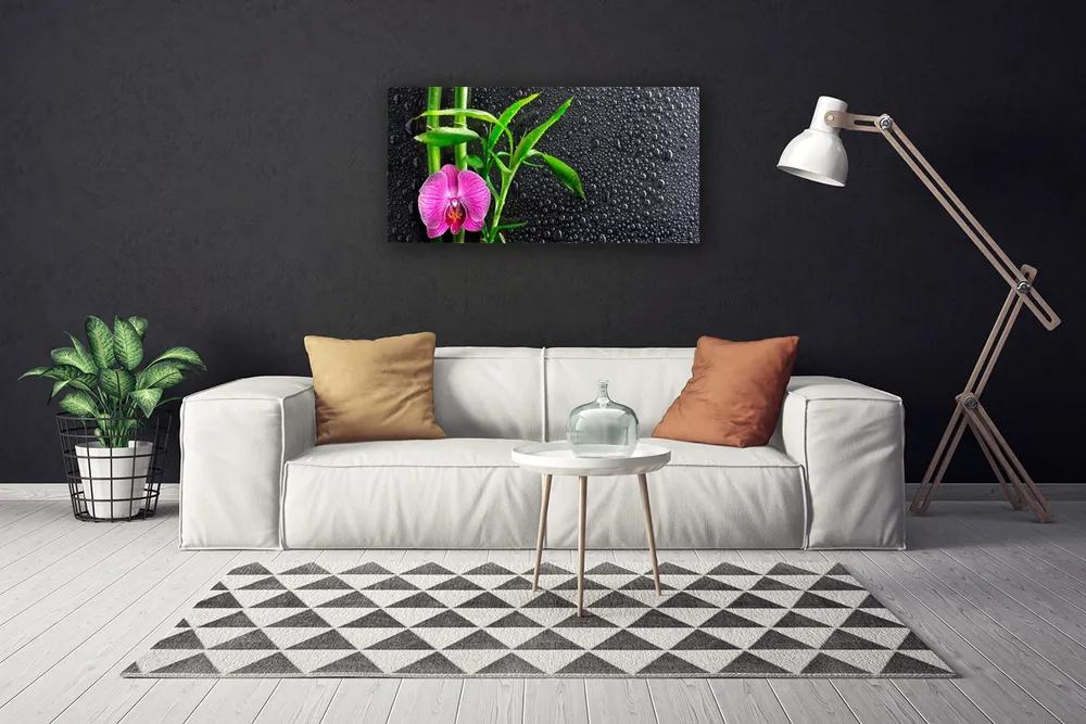 Obraz na plátně Bambus Květ Kapky 100x50 cm