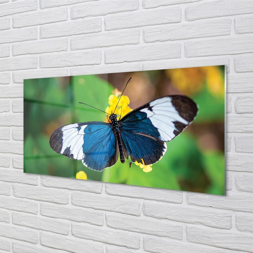 Obraz na skle Barevný motýl na květiny 100x50 cm