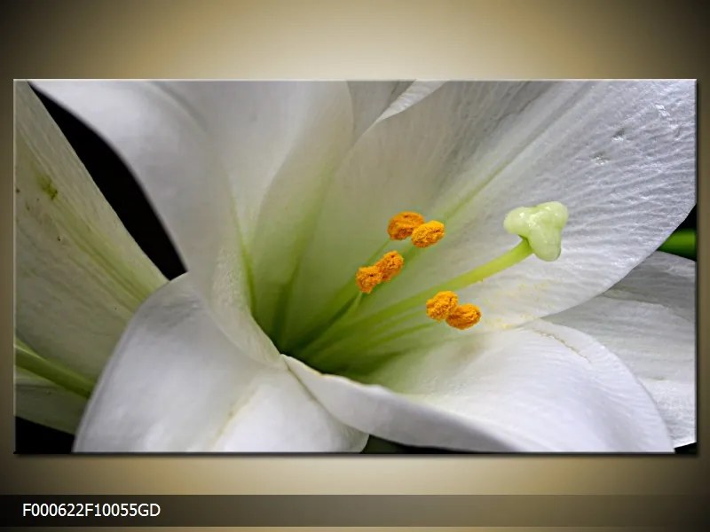 Obraz pestíků květu (), 40 dalších rozměrů