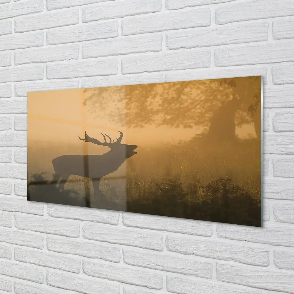 Obraz na skle jelen sunrise 140x70 cm