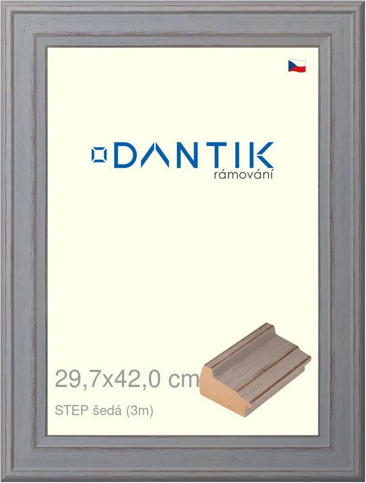 DANTIK rámeček 29,7x42 | STEP šedá (Plexi Čiré)