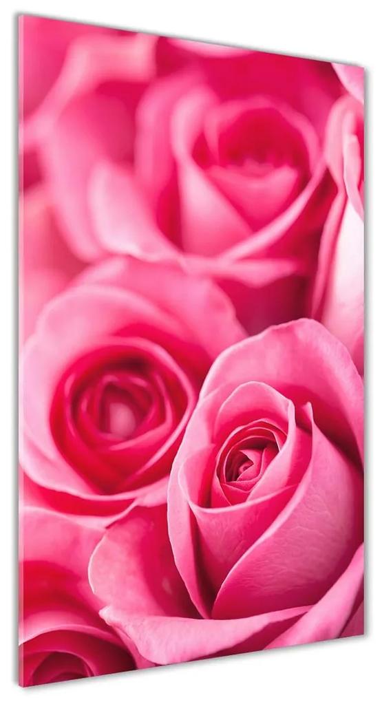 Foto obraz na plátně do obýváku Růžové růže