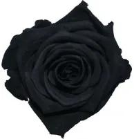Hlavy růží - princess 16 ks Black - černá
