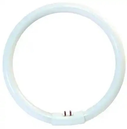 FULGUR YH 22W/4000K úsporná kruhová zářivka, studená bílá | BIANO