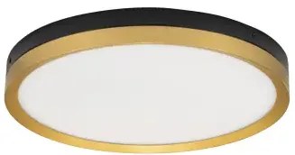 LED stropní svítidlo Cantria 40