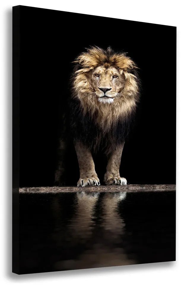 Wallmuralia Foto obraz na plátně do obýváku Portrét lva 70x100 cm