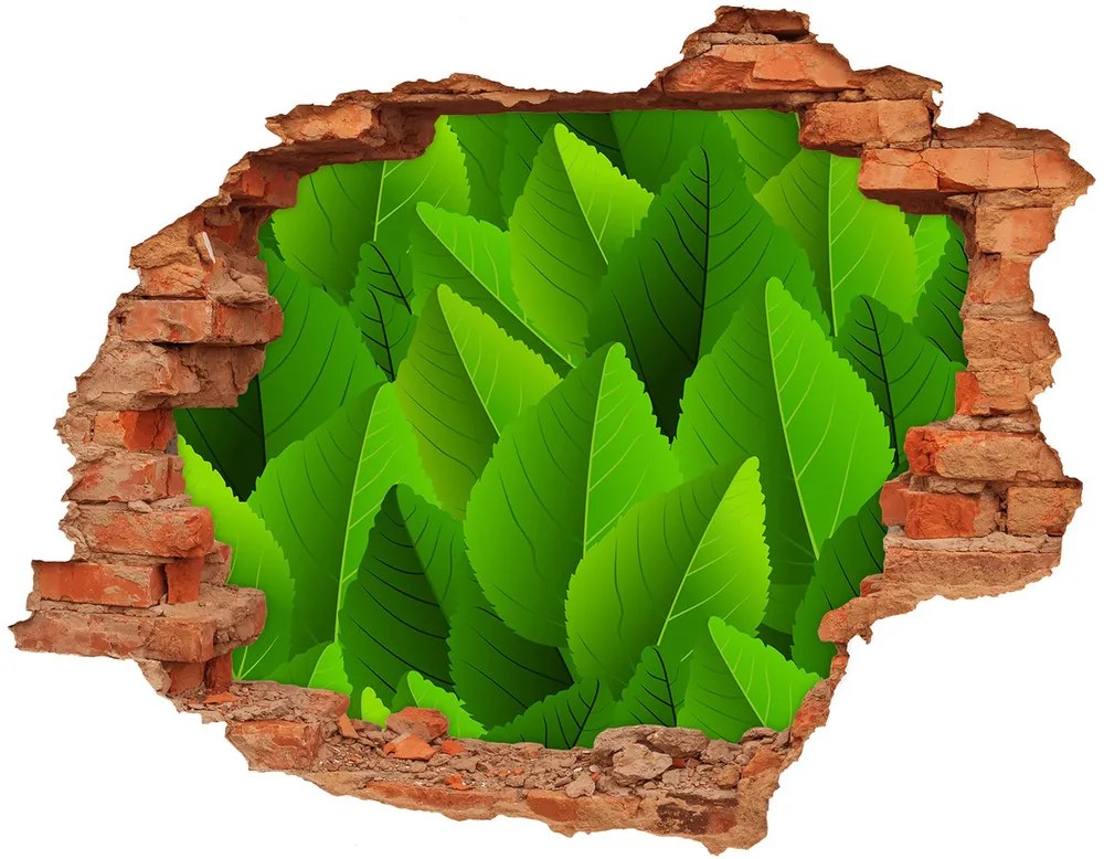 Wallmuralia Fototapeta díra na zeď Zelené listí 90x70 cm