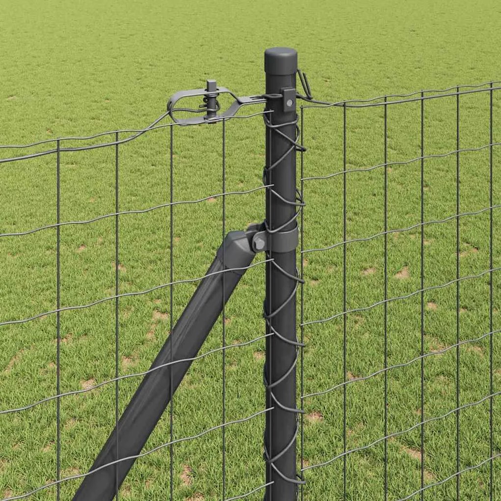 Evropský plot se hroty 10 x 1,5 m Ocel potažená PVC Šedá 3350640