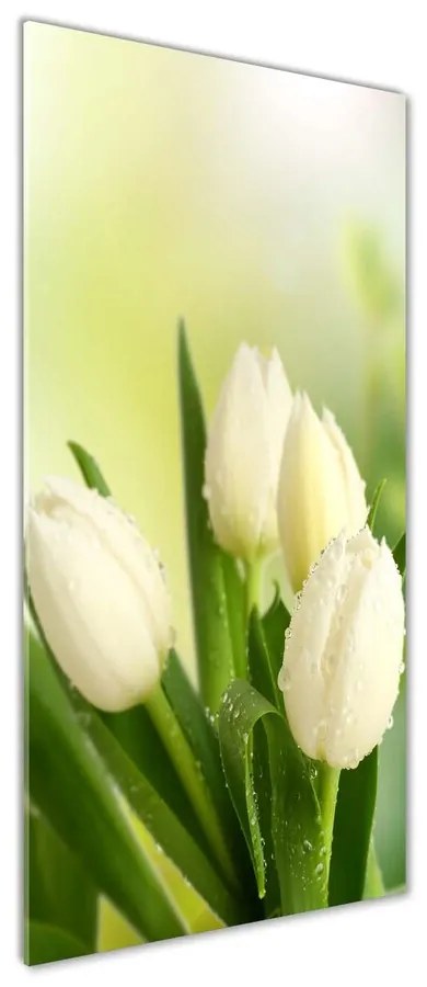 Wallmuralia Foto obraz akryl do obýváku Bílé tulipány 50x125 cm