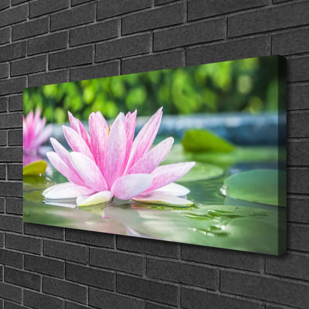 Obraz na plátně Vodní Lilie Rybník Příroda 140x70 cm