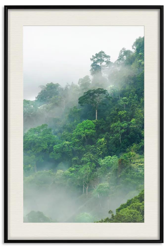 Plakát Šťavnatý les