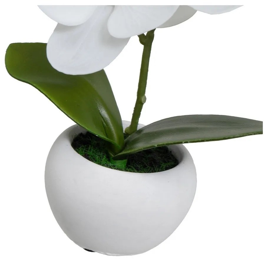 Umělé rostliny v sadě 3 ks (výška 15 cm) Orchid – Casa Selección
