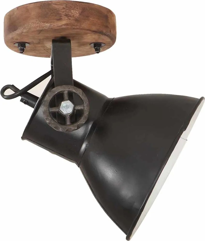 Industriální nástěnné/stropní lampy 2 ks černé 20 x 25 cm E27 320514