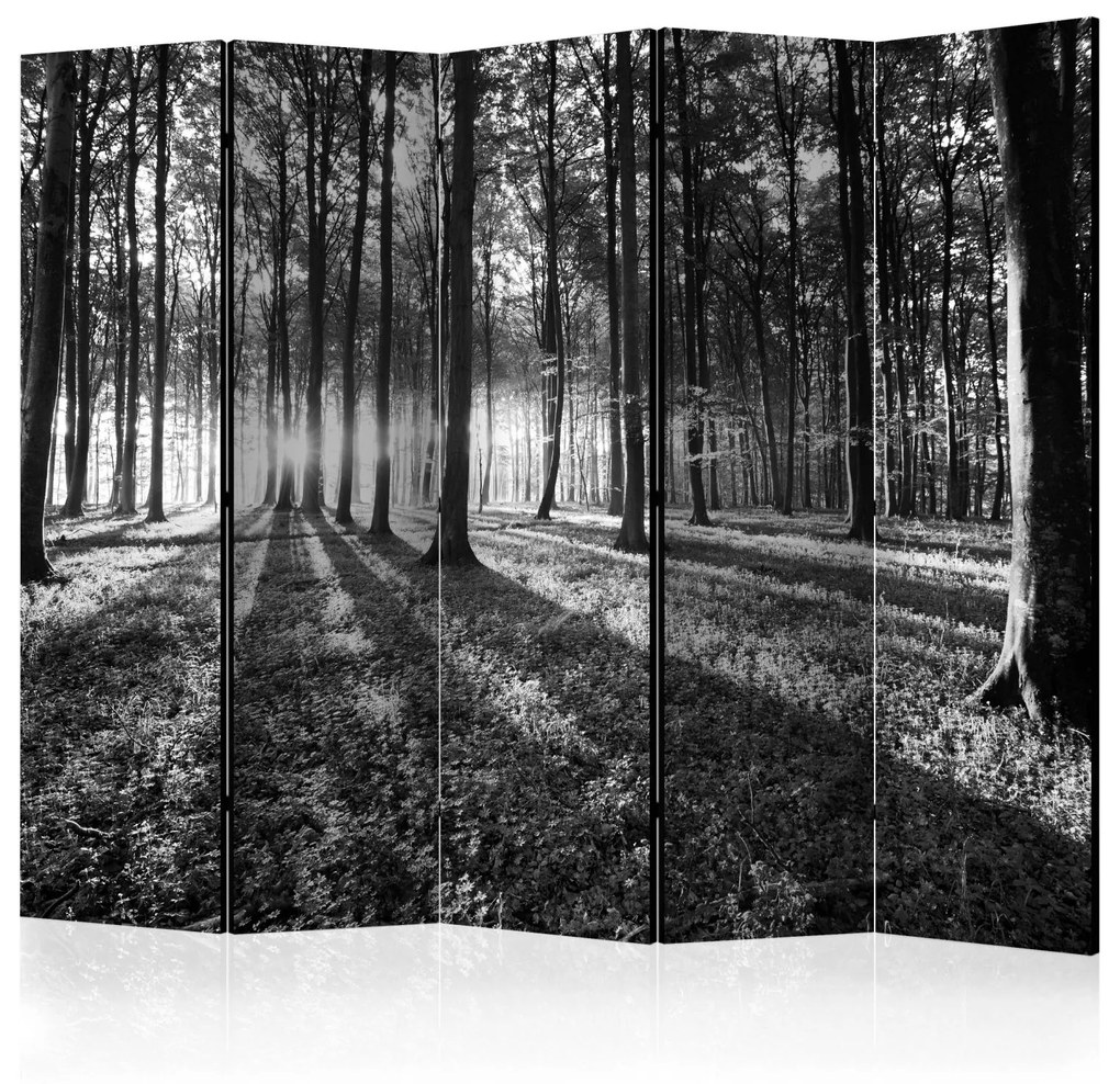 Paraván - Grey Wilderness II [Room Dividers] 225x172