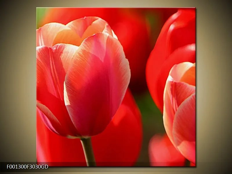 Obraz červených květin (), 40 dalších rozměrů