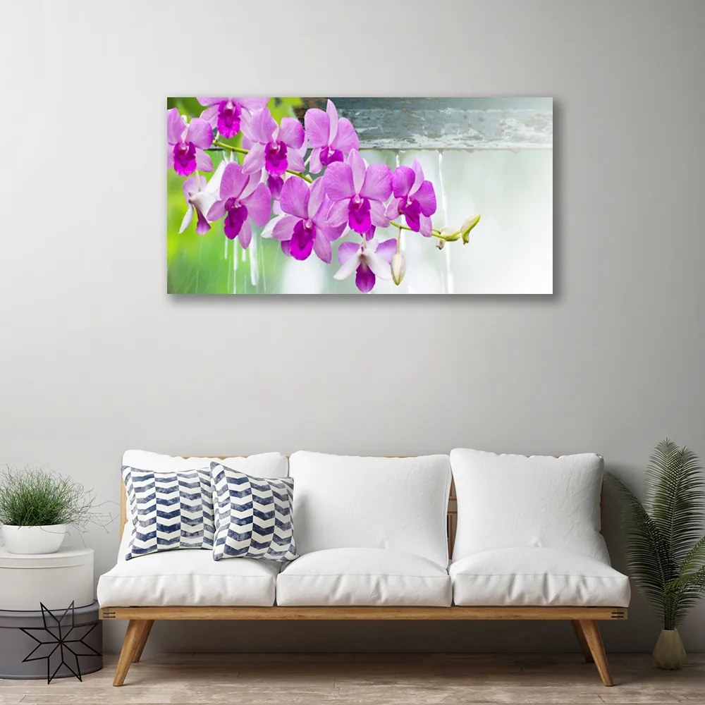 Obraz na plátně Orchideje Kapky Příroda 100x50 cm