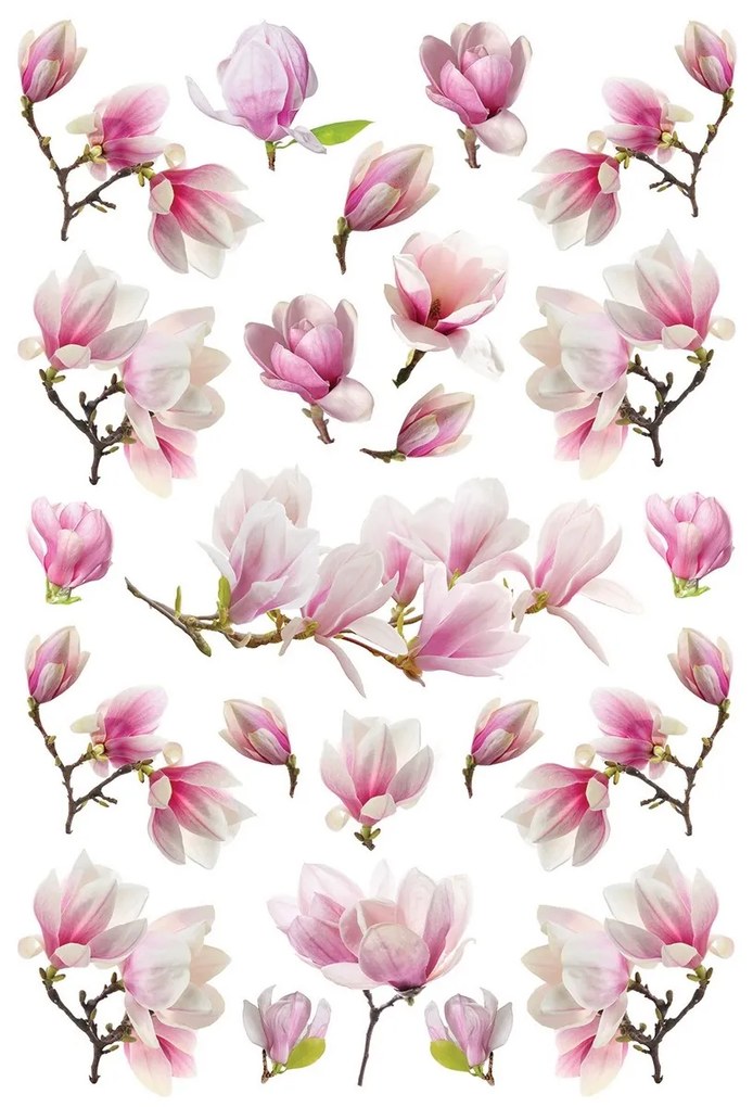 Samolepící dekorace Magnolia, 42,5 x 65 cm