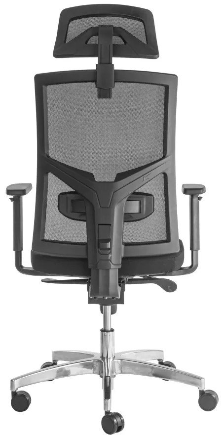 ALBA Ergonomická kancelářská židle DESALUTE - černá síťovina / nosnost 150 kg