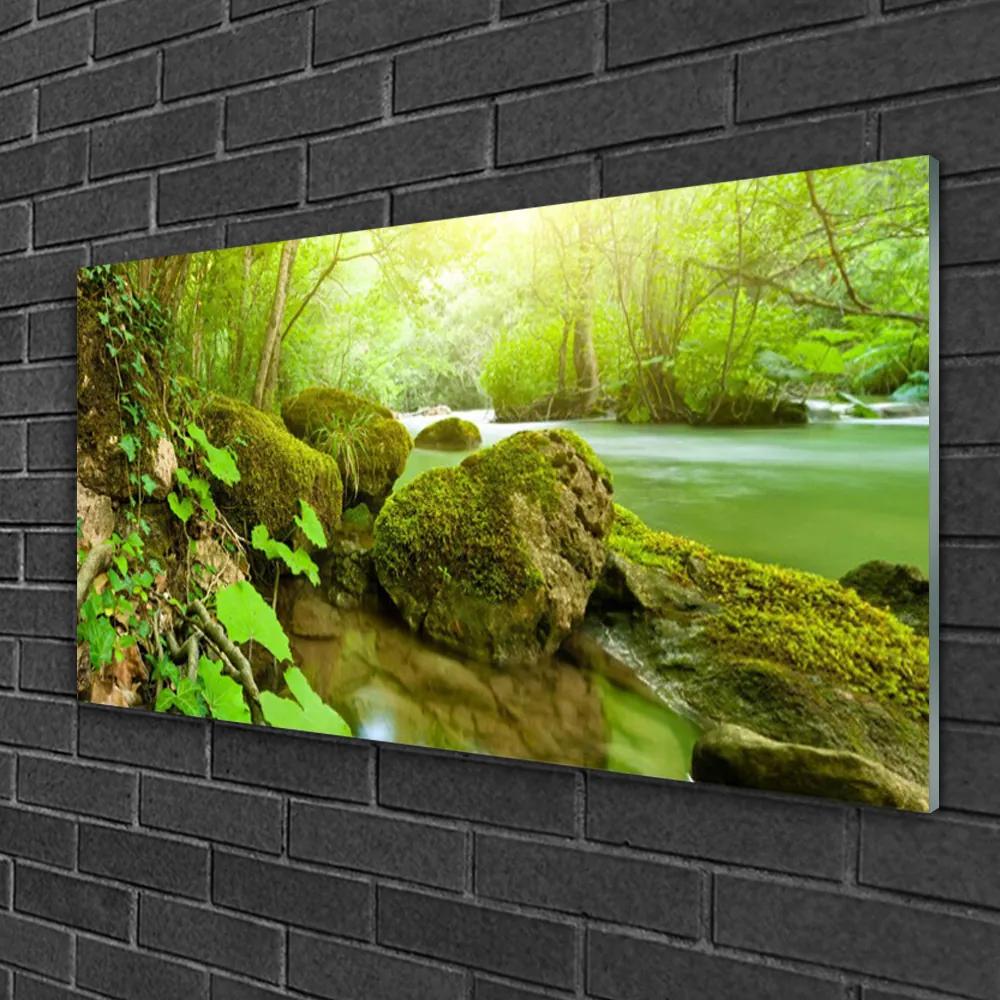 Obraz na skle Jezero Kameny Příroda 125x50 cm