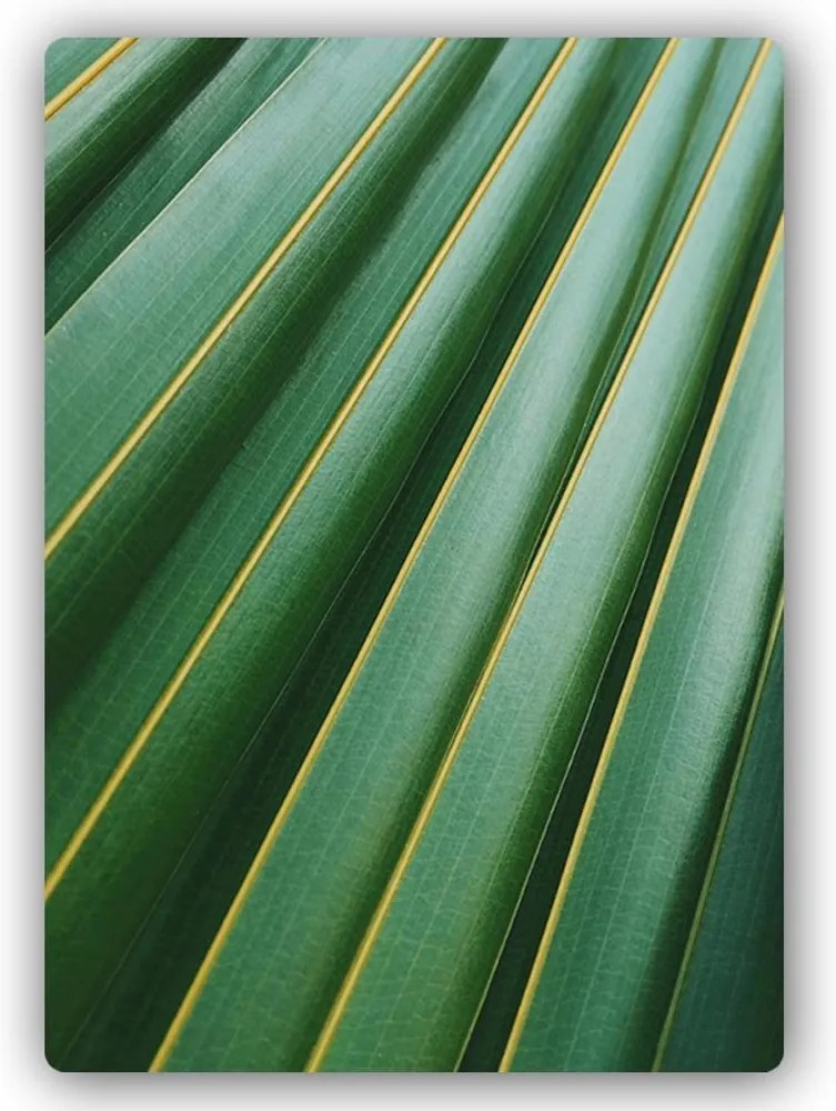 CARO Kovový obraz - A Fragment Of The Leaf 40x60 cm