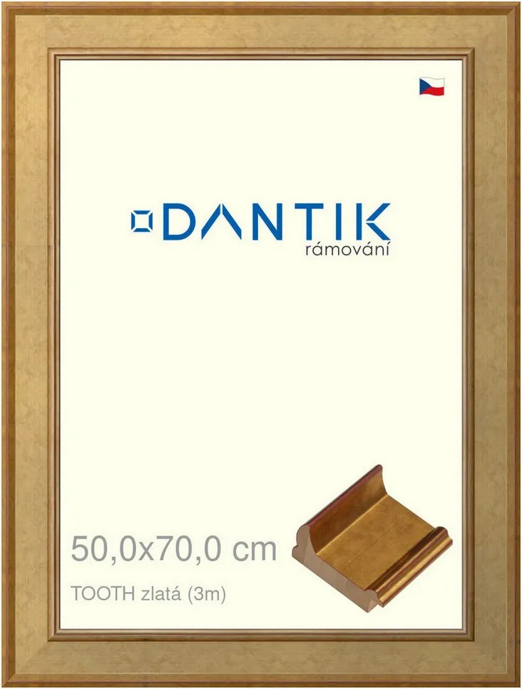 DANTIK rámeček 50x70 | TOOTH zlatá (Plexi Čiré)
