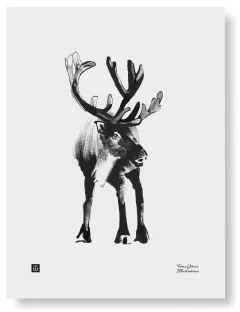 Plakát Reindeer 30x40 cm Teemu Järvi Illustrations