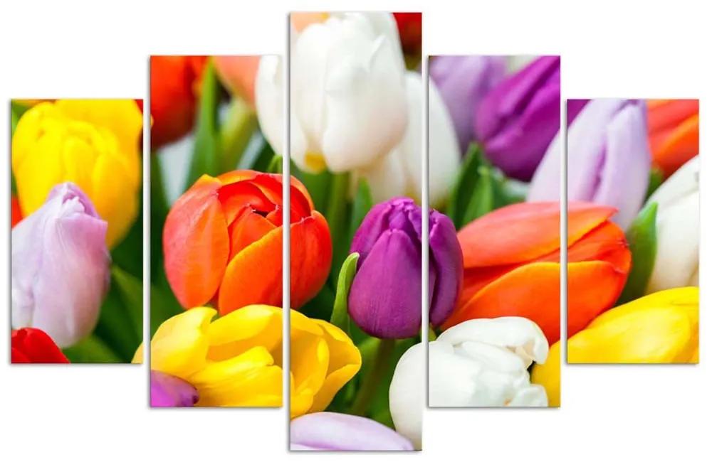 Gario Obraz na plátně Barevné tulipány - 5 dílný Rozměry: 100 x 70 cm