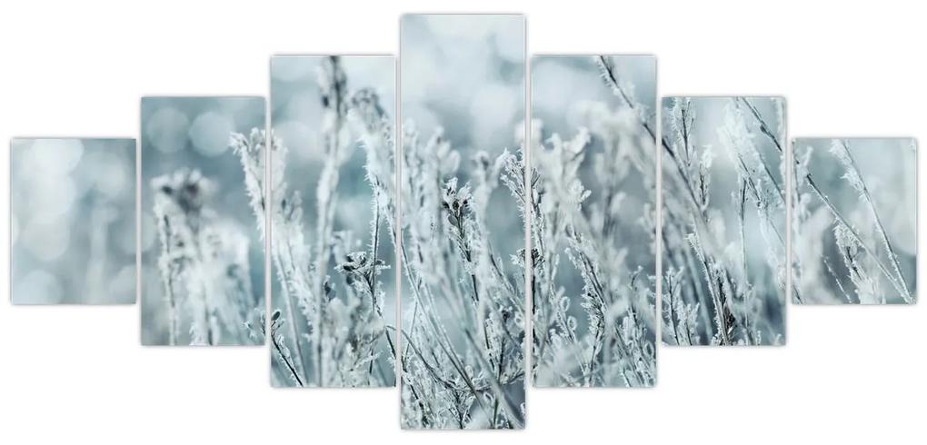 Obraz - Kouzlo zimy (210x100 cm)