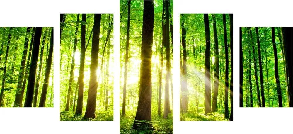 5-dílný obraz svěží zelený les - 200x100 cm