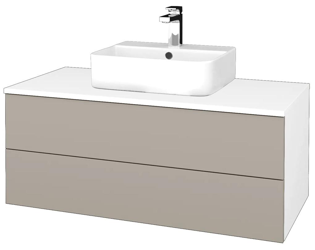 Dřevojas Koupelnová skříňka MODULE SZZ2 100 Varianta: N01 Bílá lesk / D01 Beton