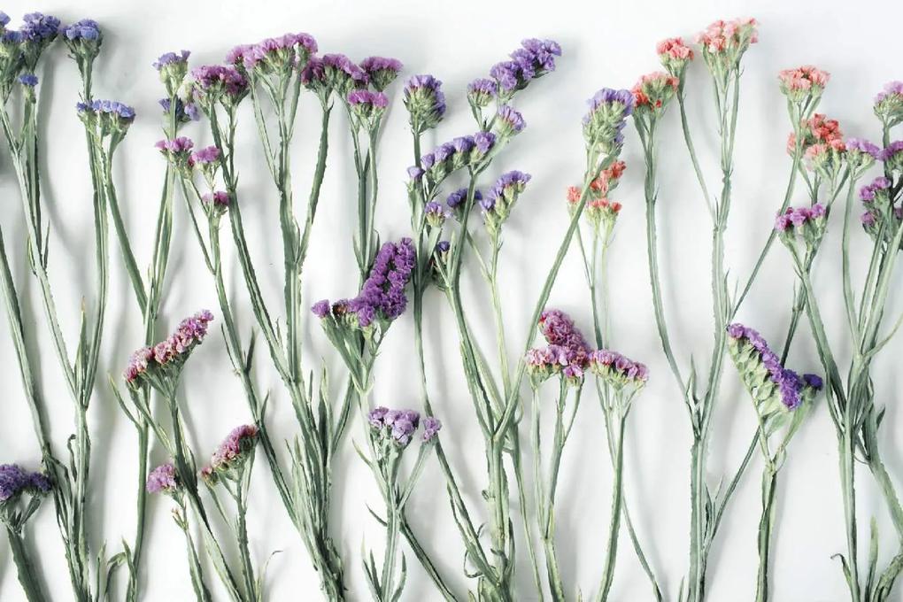DIMEX | Samolepicí vliesová fototapeta na zeď Sušené květy MA-5-1325 | 375 x 250 cm | zelená, bílá, fialová, růžová