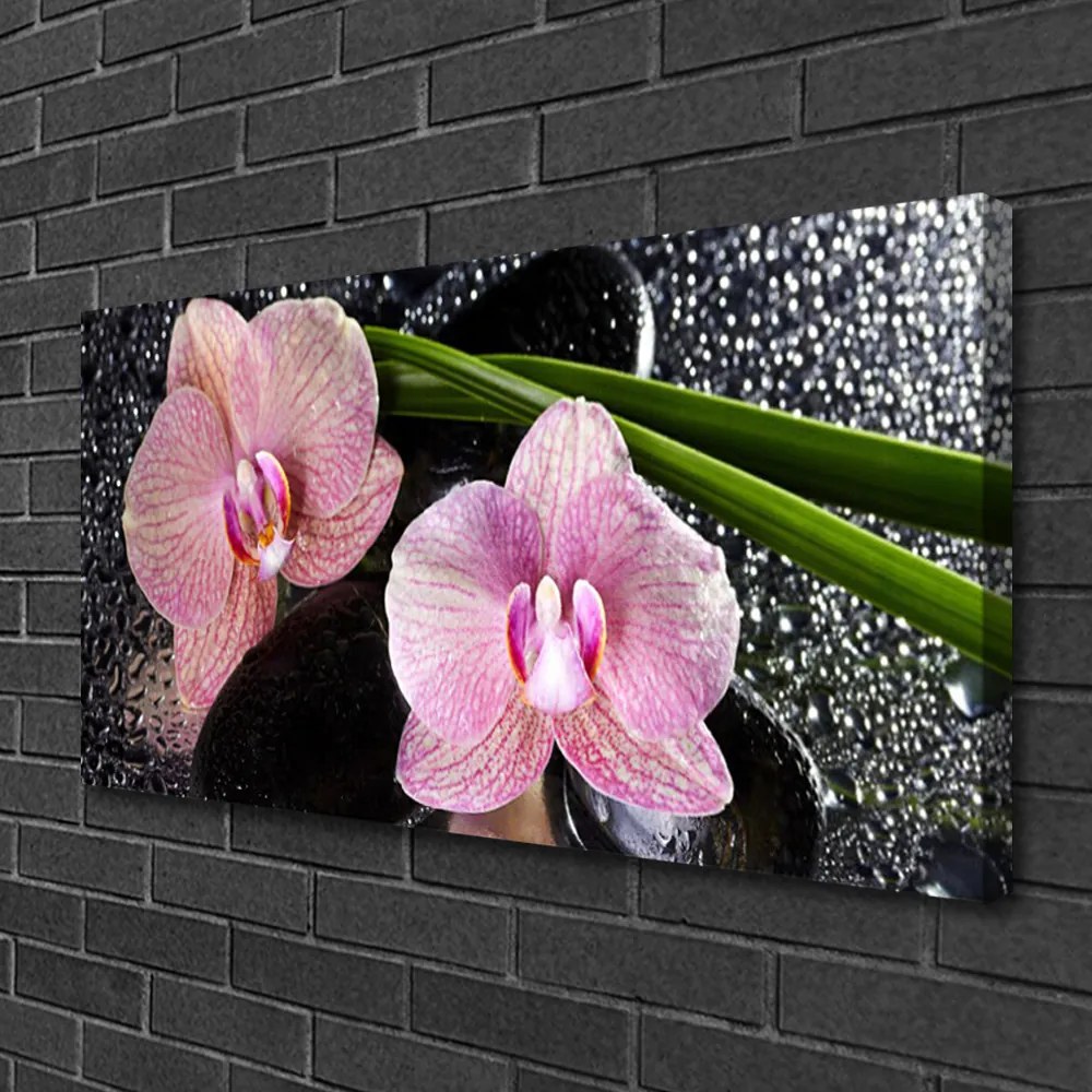 Obraz na plátně Květiny Orchidej Kameny Zen 100x50 cm