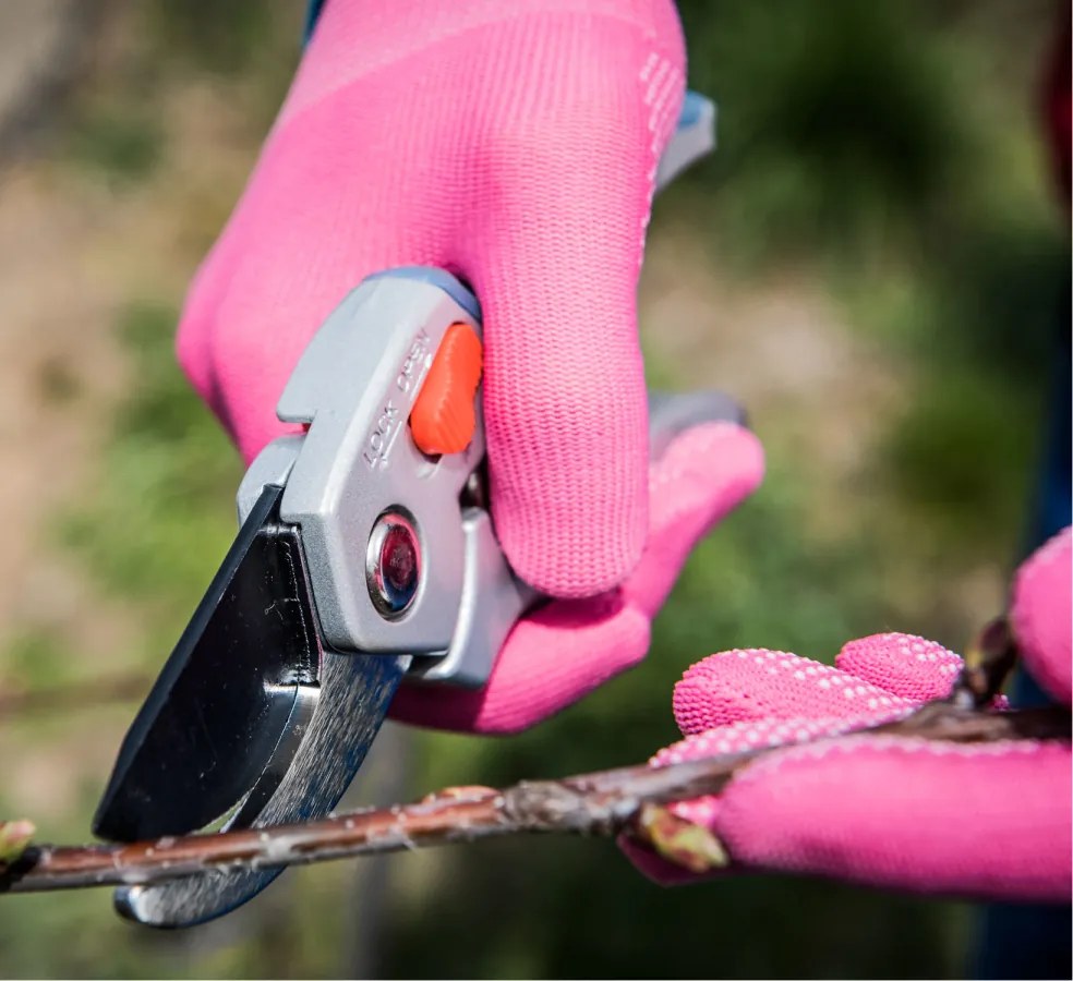 Nůžky zahradnické s rohatkovým převodem