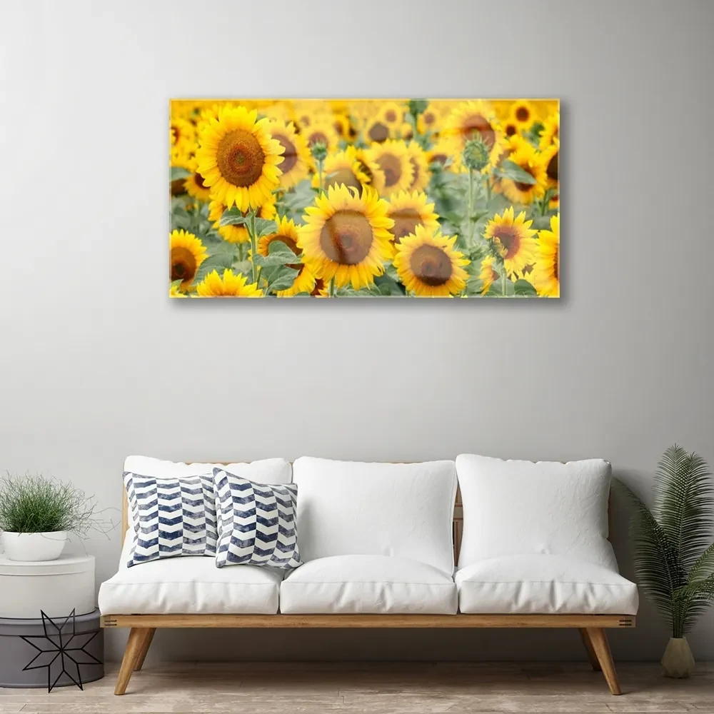 akrylový obraz Slunečnice Rostlina Příroda 100x50 cm | BIANO