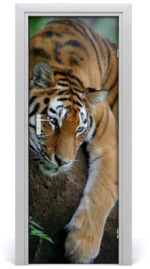 Samolepící fototapeta na dveře tygr na stromě 75x205cm