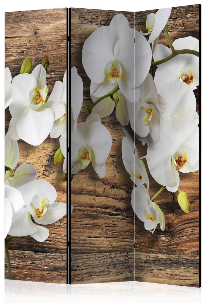 Artgeist Paraván - Forest Orchid [Room Dividers] 135x172 7-10 dní